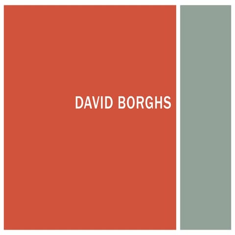 David Borghs | PPTX