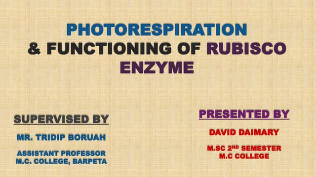 Photorespiration And Functioning Of Rubisco Enzyme Pptx