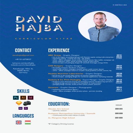 David hajba_3cv-mt-rm | PDF