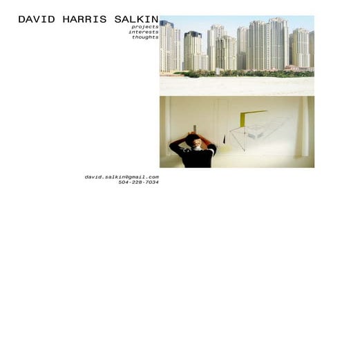 David Harris Salkin Portfolio | PDF