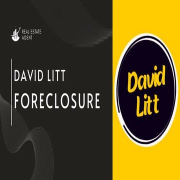 David Litt Foreclosure Specialist - Your Partner in Real Estate Success ...