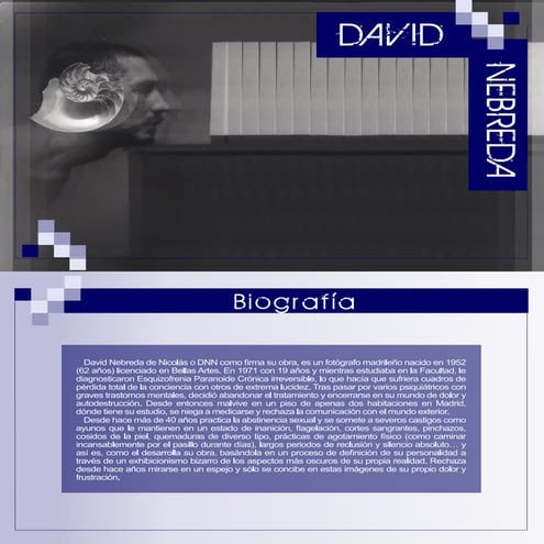 David nebreda porfolio | PDF