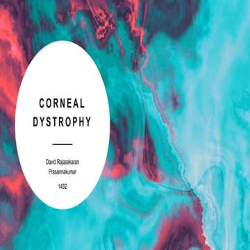 David Rajasekaran Prasannakumar 1432.pptx