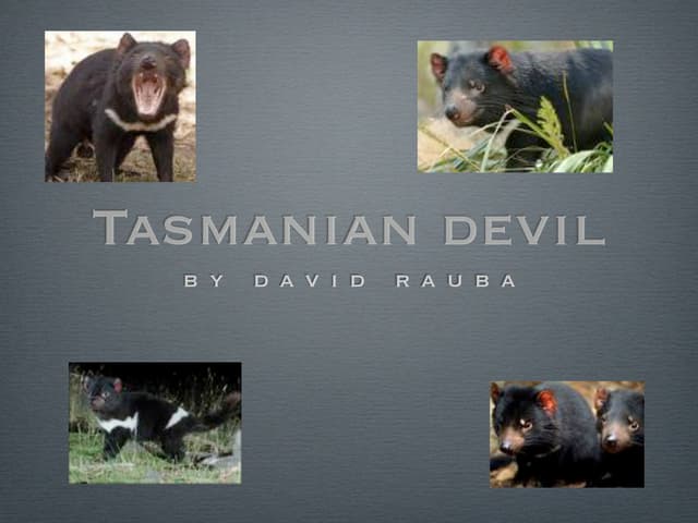 Zebraassignment1ppt | PPTX