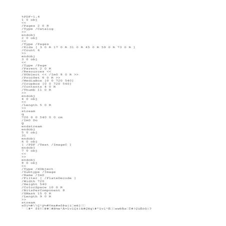 David's Rainforest Powerpoint | PDF