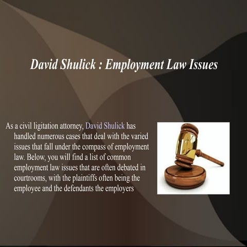 David Shulick - Employment law issues | PPT