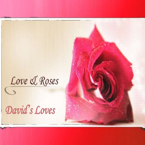 David's Loves Abigail | PPTX