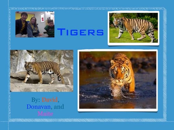 Titian's alligators | PPT