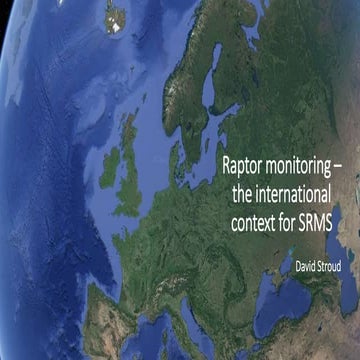 Raptor monitoring – the international context for SRMS | PPTX
