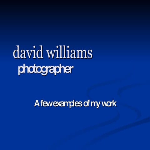 David Williams Photography | PPT | Photography | Arts and Crafts
