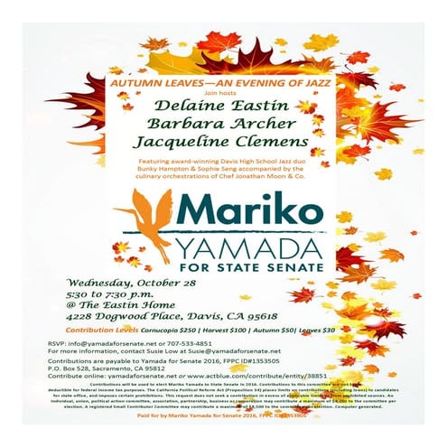 Flyer - State Senate Campaign | PDF