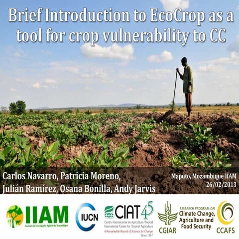 Brief introduction to Ecocrop as a tool for crop suitability analysis ...
