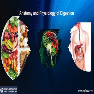 Dr. Avnish PhD Progress Review Presentation 3 9 13.ppt