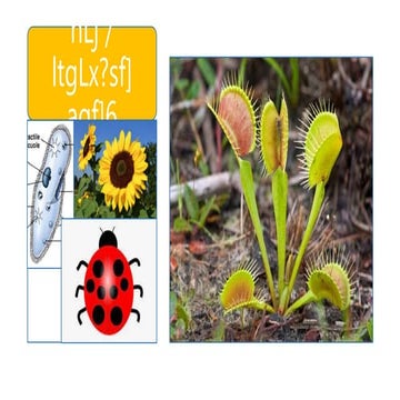 living beings and their structure | PPTX