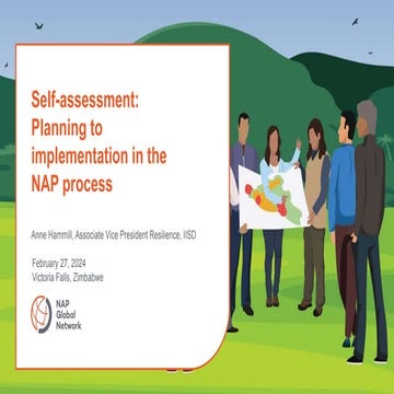 Self-assessment: Planning to implementation in the NAP process ...