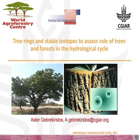 Tree rings and stable isotopes to access role of trees an forests in ...