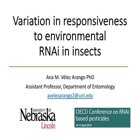 Variation in responsiveness to environmental RNAi in insects ...