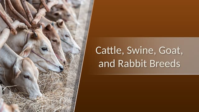Various Breeds of farm animals PowerPoint | PPTX