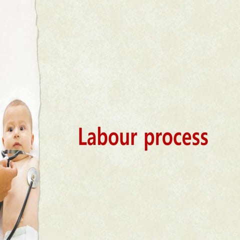 Child birth and labor process | PPT