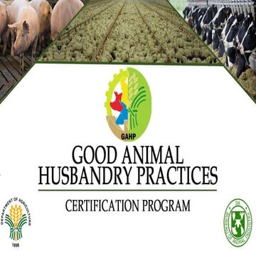 Good Animal Husbandry. Certified Program | PDF