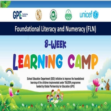Effective Teaching Strategies for Foundational Literacy and Numeracy in ...