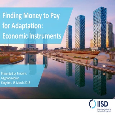 Finding Money to Pay for Adaptation: Economic Instruments | PPT