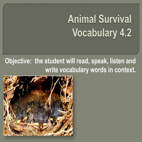Vocabulary Unit 4 Week 2 | PPT