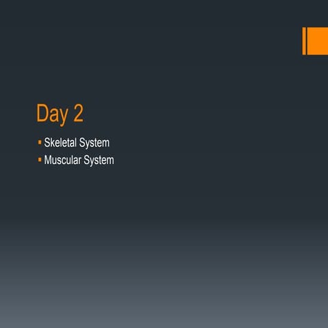 Human body systems | PPTX