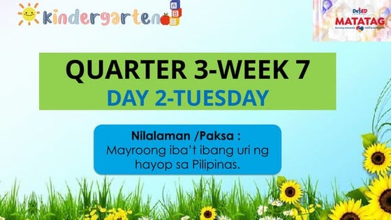 Reginemacaraig01 presentations