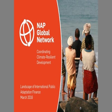 Landscape of international adaptation finance and role of NAPs | PDF