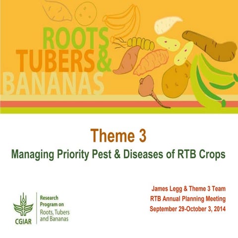 Cassava pests and disease | PDF