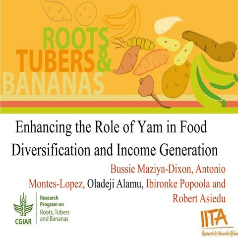 Enhancing the role of yam in food diversification and income generation ...