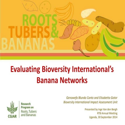 Evaluating Bioversity International’s banana networks | PPTX ...