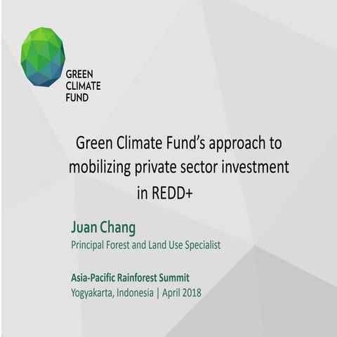 Green Climate Fund’s approach to mobilizing private sector investment ...