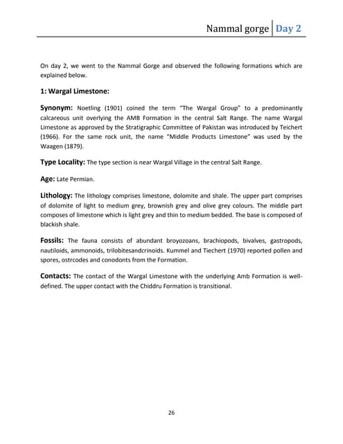 SALT RANGE | GEOLOGY OF PAKISTAN | PDF