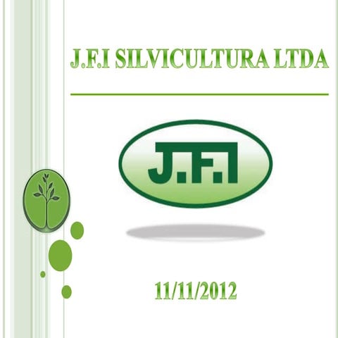 JFI Presentation (english portuguese) | PDF