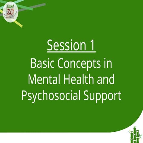 instructional supervisory plan jan 24.docx