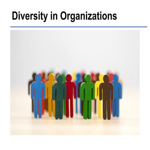 Diversity In Organizations, Chapter-2, Organizational Behavior | PDF