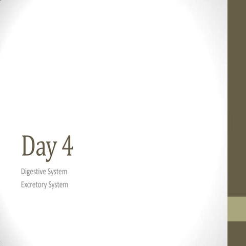 Day 4 | PPT