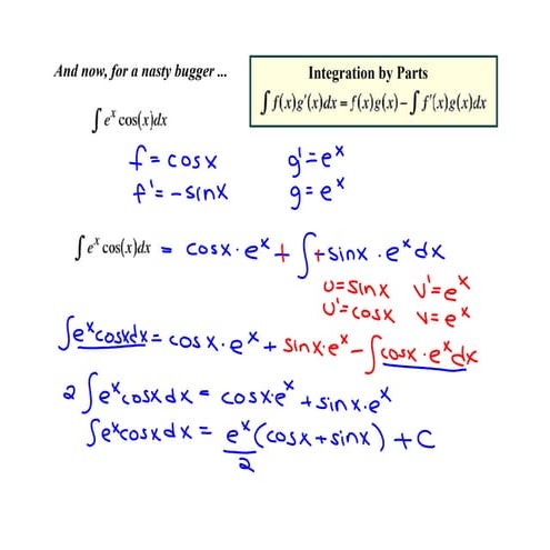 Day 5 examples | PDF | Science