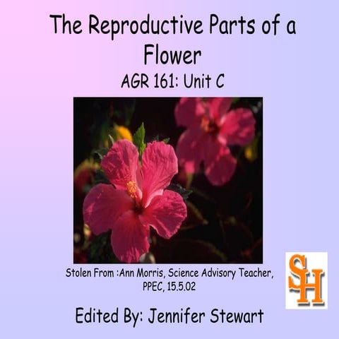 REPRODUCTIVE PARTS OF A FLOWER DAY 6.ppt