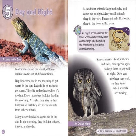 Day and Night - Reading + Worksheet of the reading | PDF
