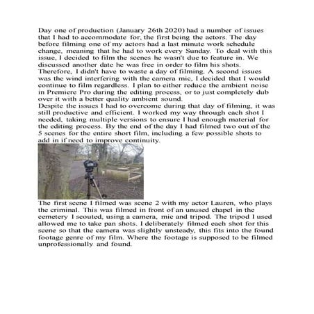 Directors commentary | DOCX