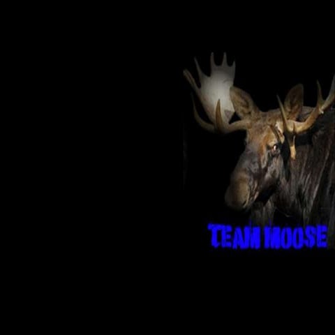Days 5 11 team moose | PPT