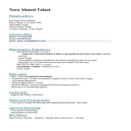 Accountant CV | PDF