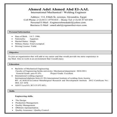 engineer.A.Adel c.v | PDF