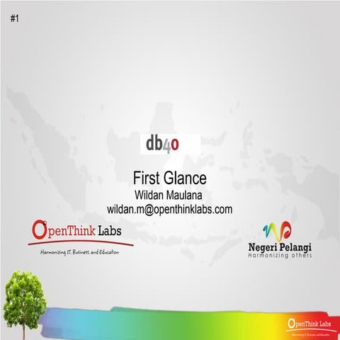 First Glance. (db4o - Object Oriented Database) | PPT