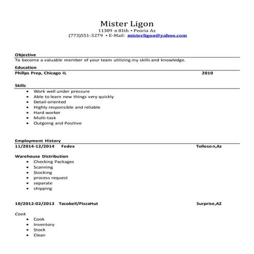 Mister Resume | DOCX