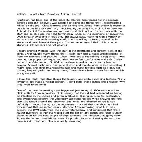 Practicum Journal | DOCX