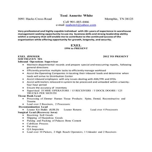 Luis Rios Resume | DOCX